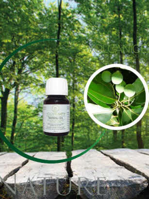 The original Tamanu Oil in Barber Salon